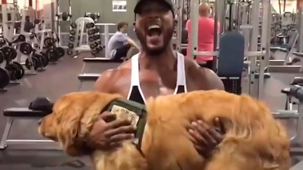 El nuevo reto viral en Instagram: hacer pesas con tu perro