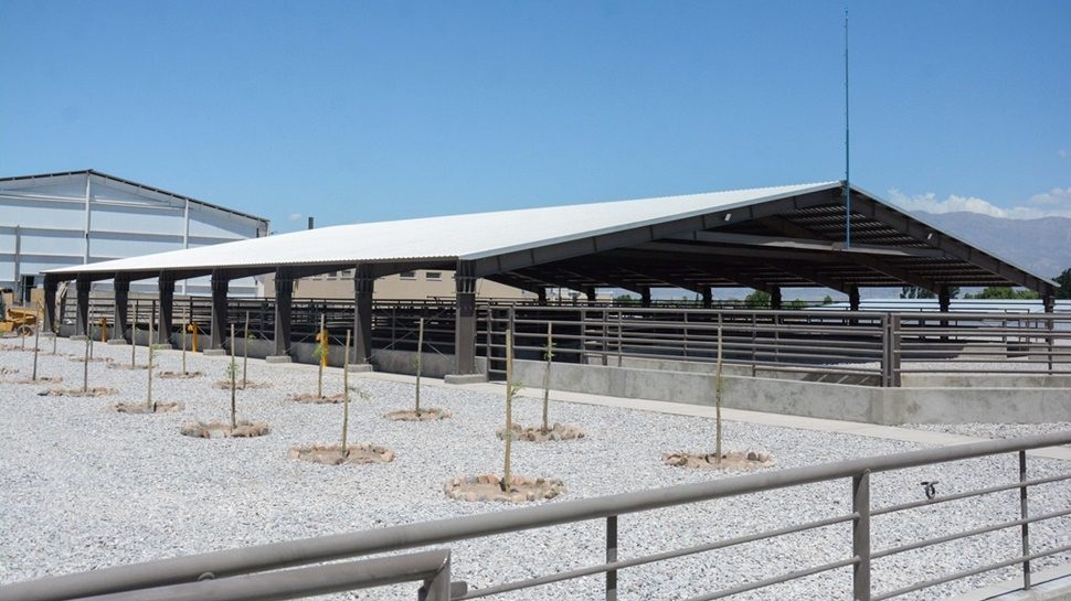 Las curiosidades y tecnologías que tendrá la nueva Planta de Faena